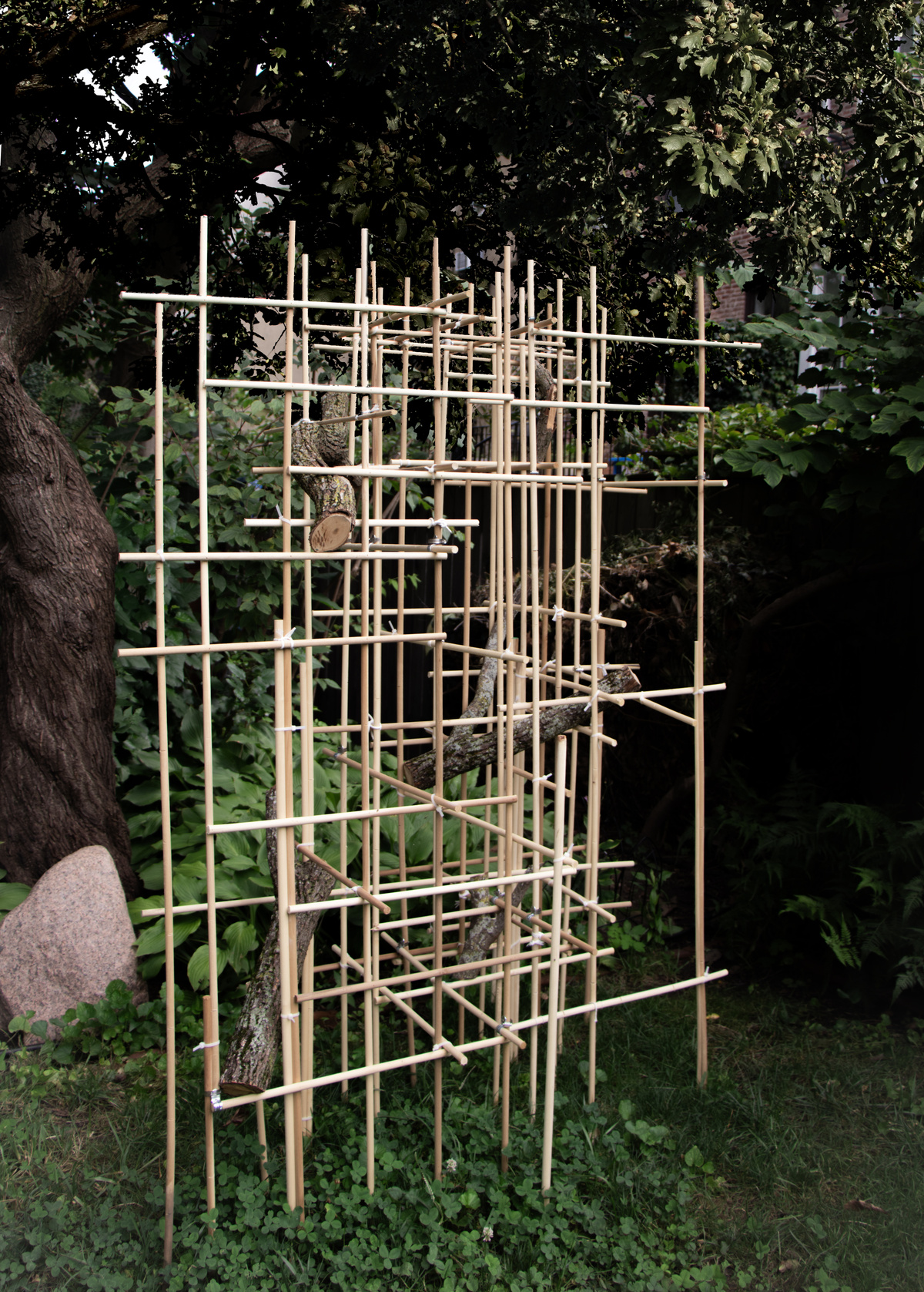 Phantom Limb — Cecil Howell