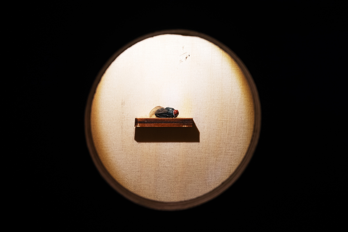 The tree sinking into the ground. — Serena Huang