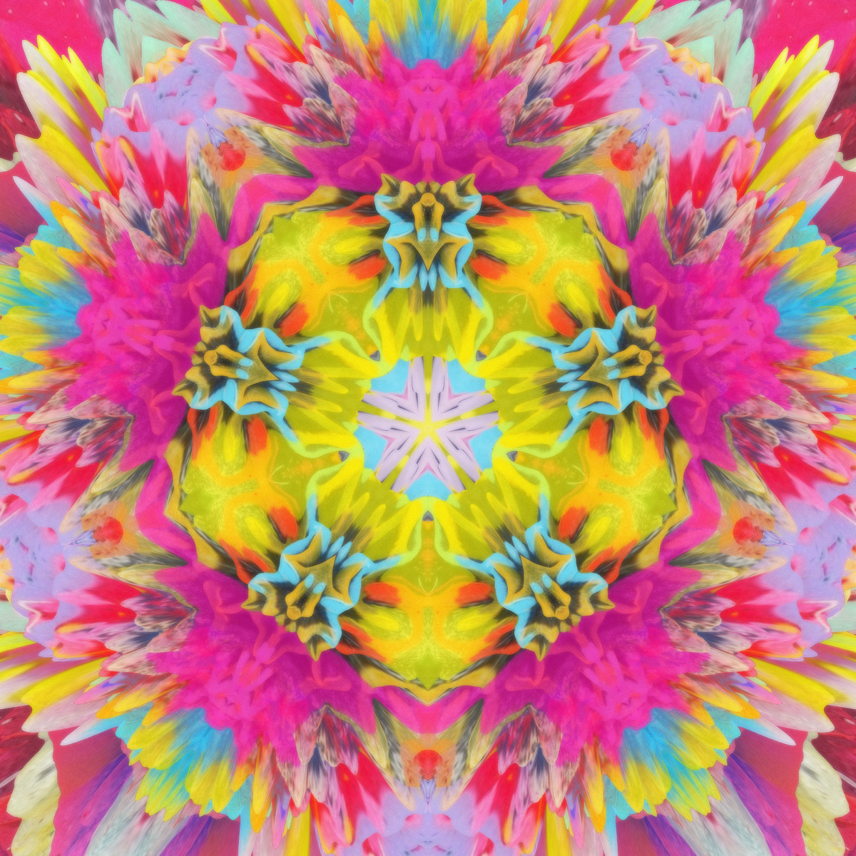 Mandala Shader 2016 — Joshua Davis Studios