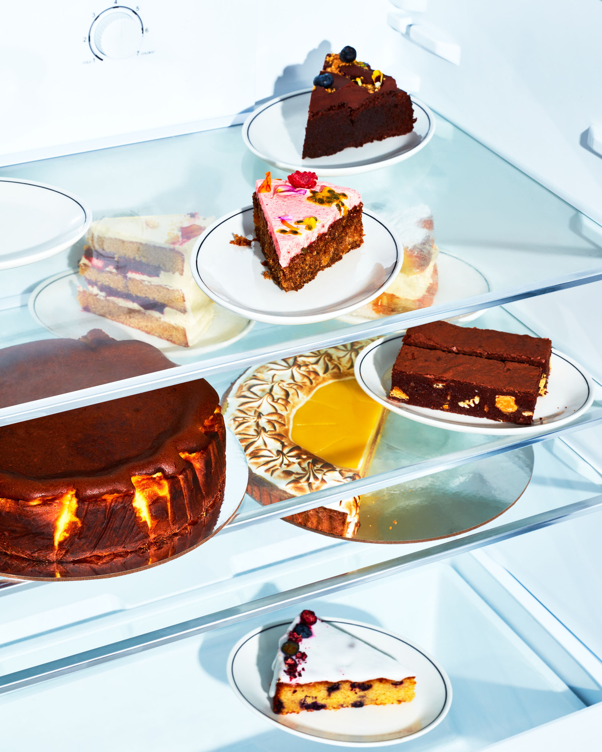 Wild Life Bakery — Shelley Horan