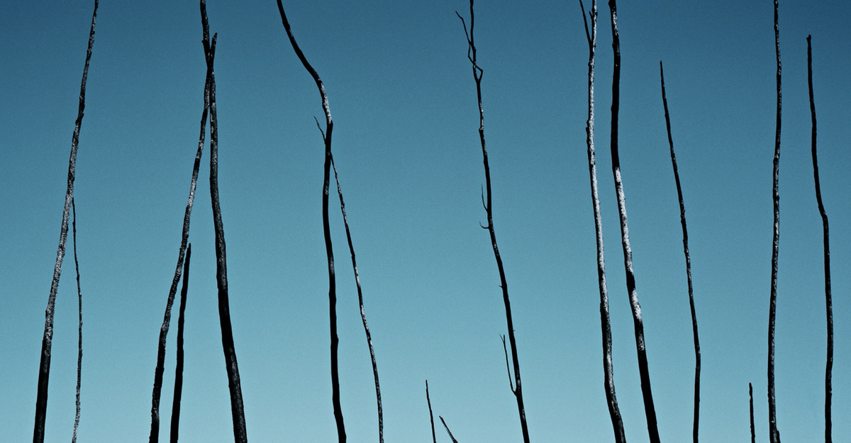 Tim Georgeson exhibit at the Australian Centre For Photography ...