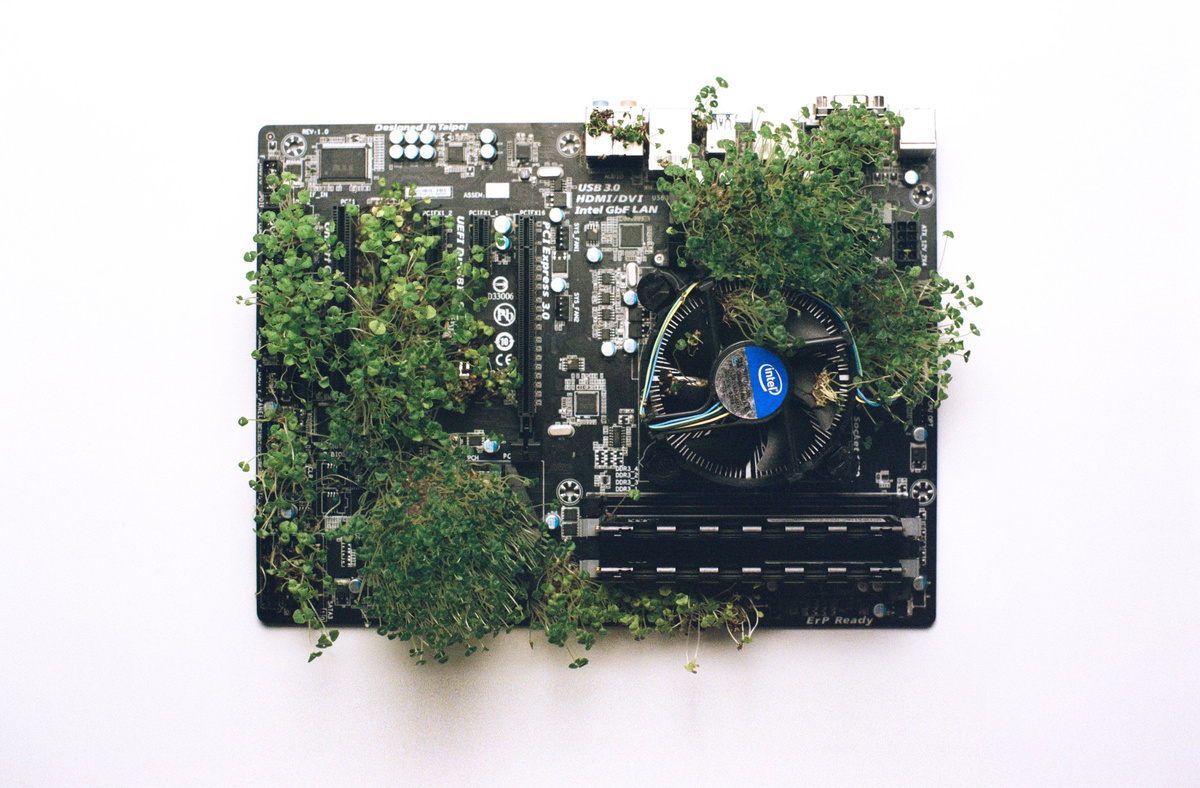 Gardening with Ephemeral Technology — Oriana Confente