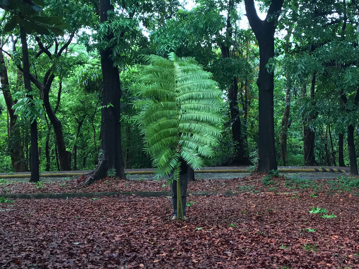 Jason Dy, SJ - Be a Tree Anotong — London Biennale