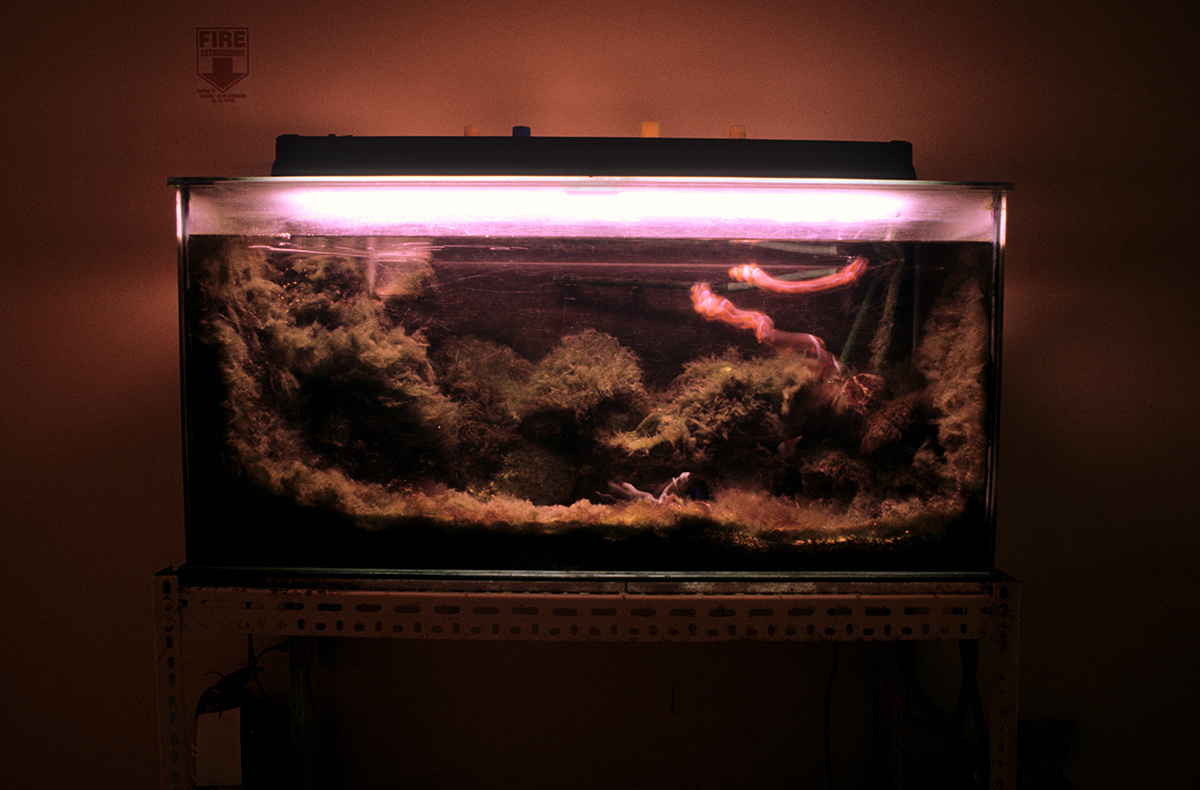 Other Altars — Leah G Portfolio