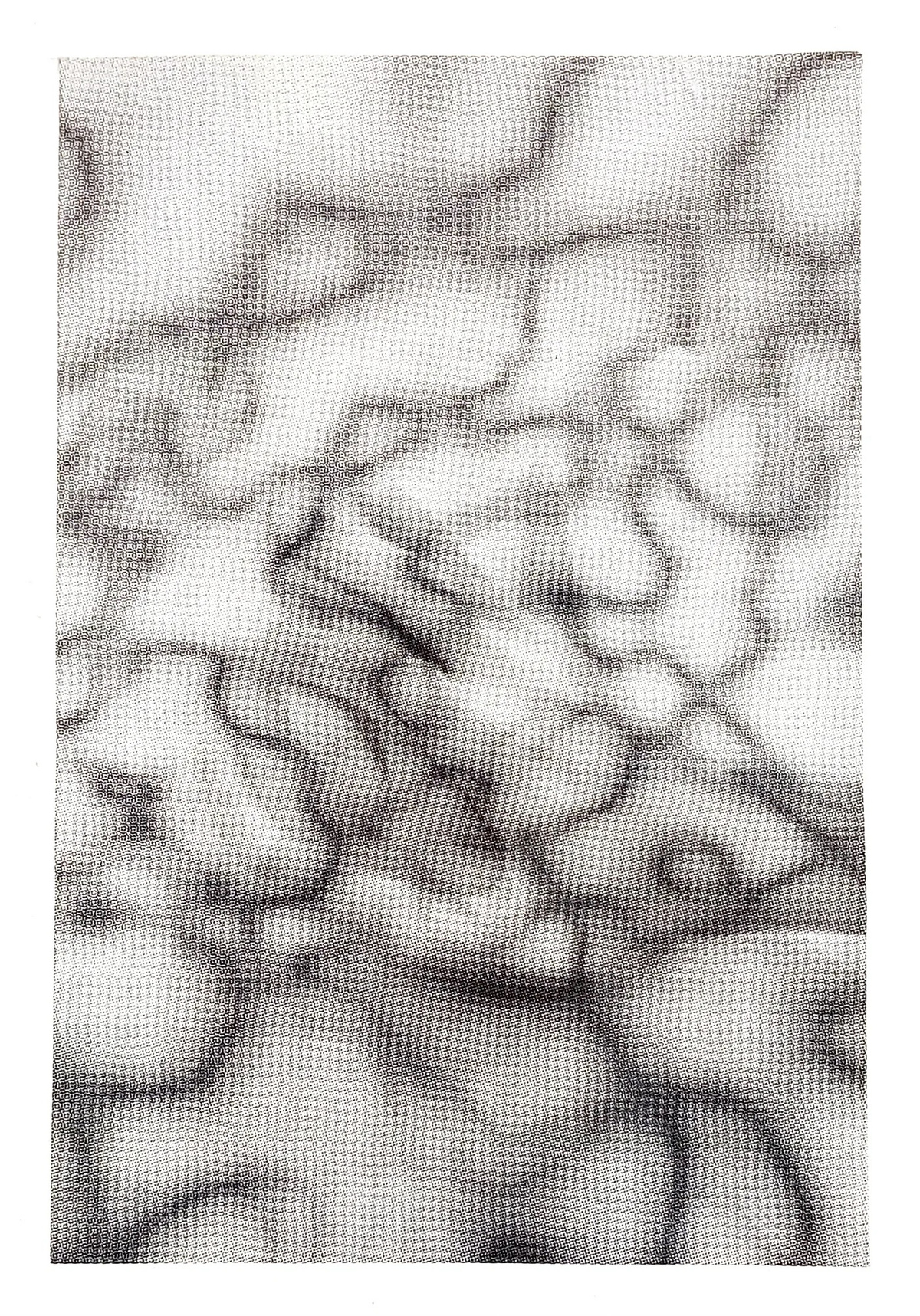 Liminality & Transition — Prof. Grady