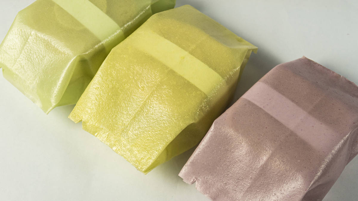 STEM — RISD Biodesign