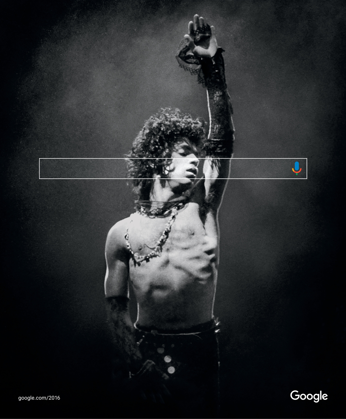 google year in search — natalie seitz