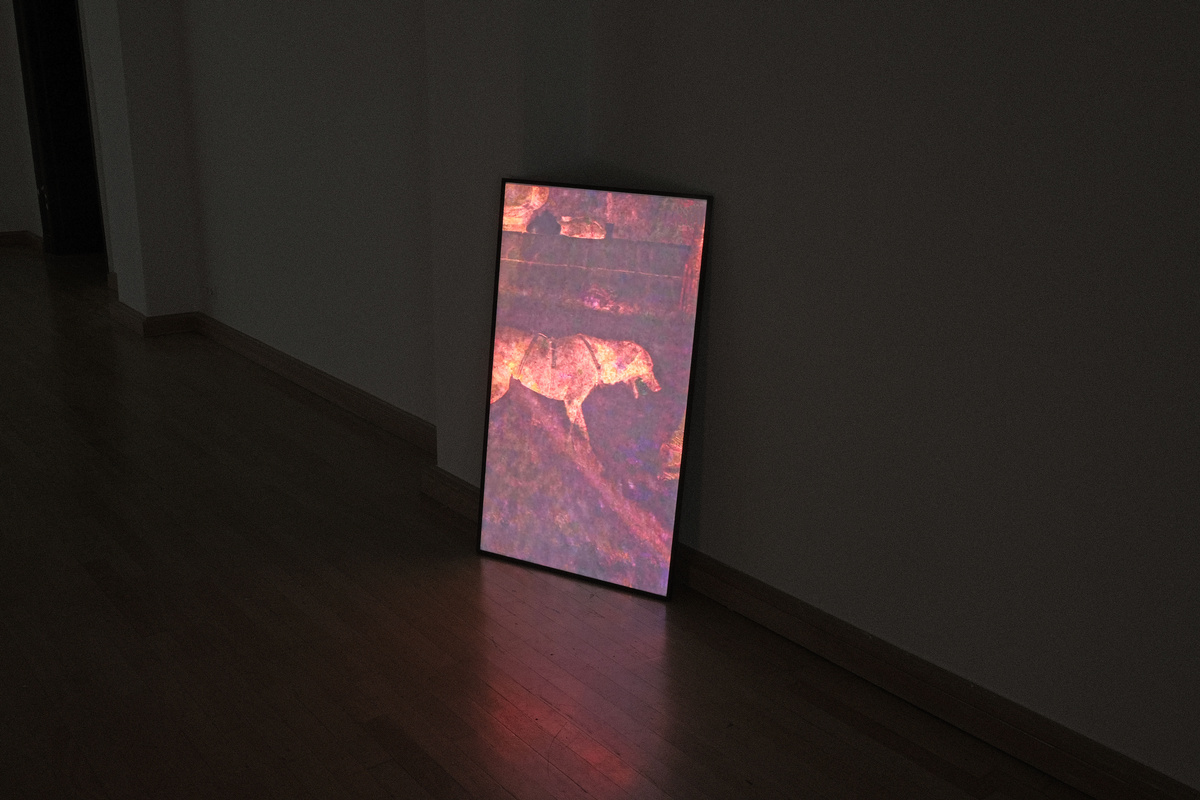 Flaneur — Jia Chae Chang | 張嘉哲