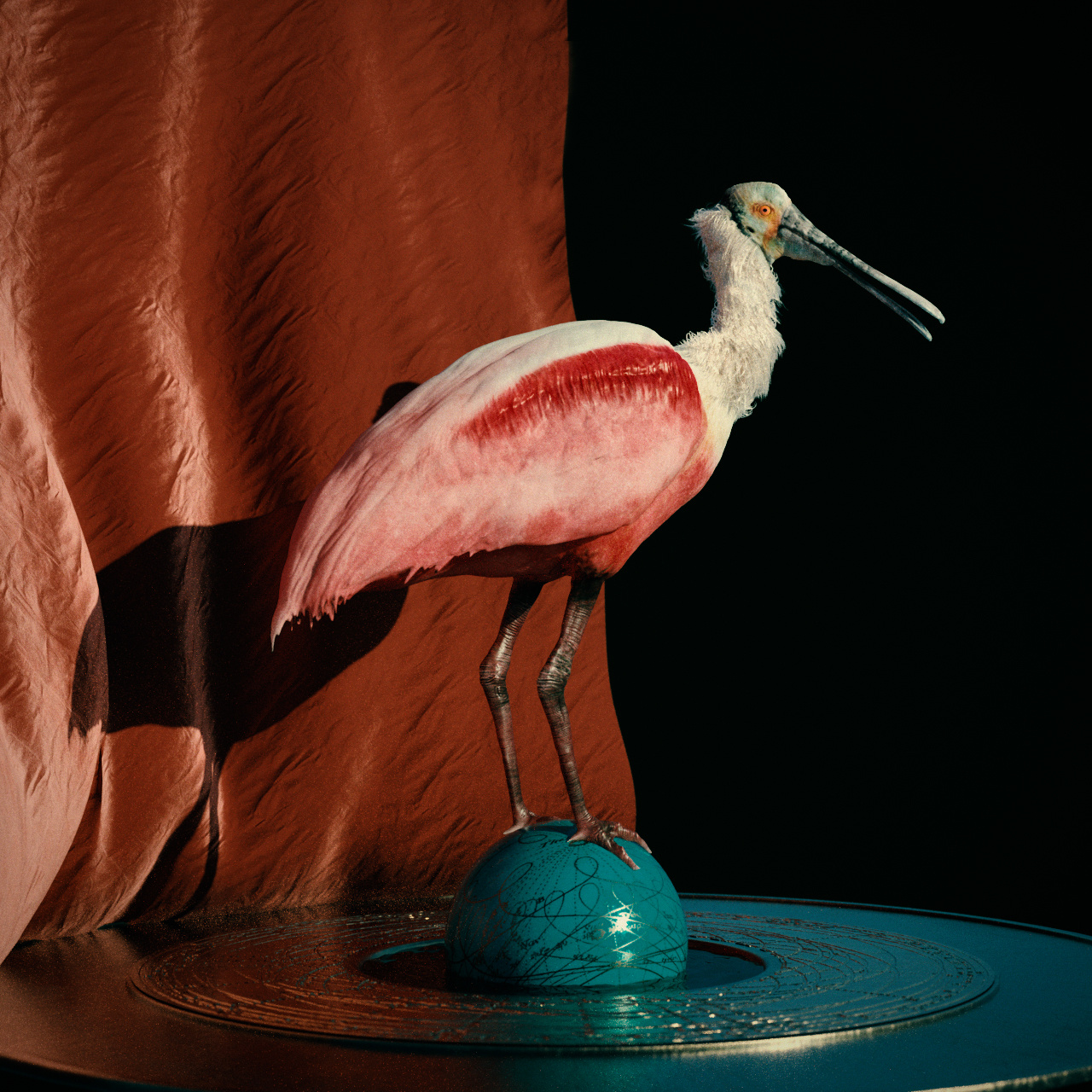 SW Home — Scott Wenner