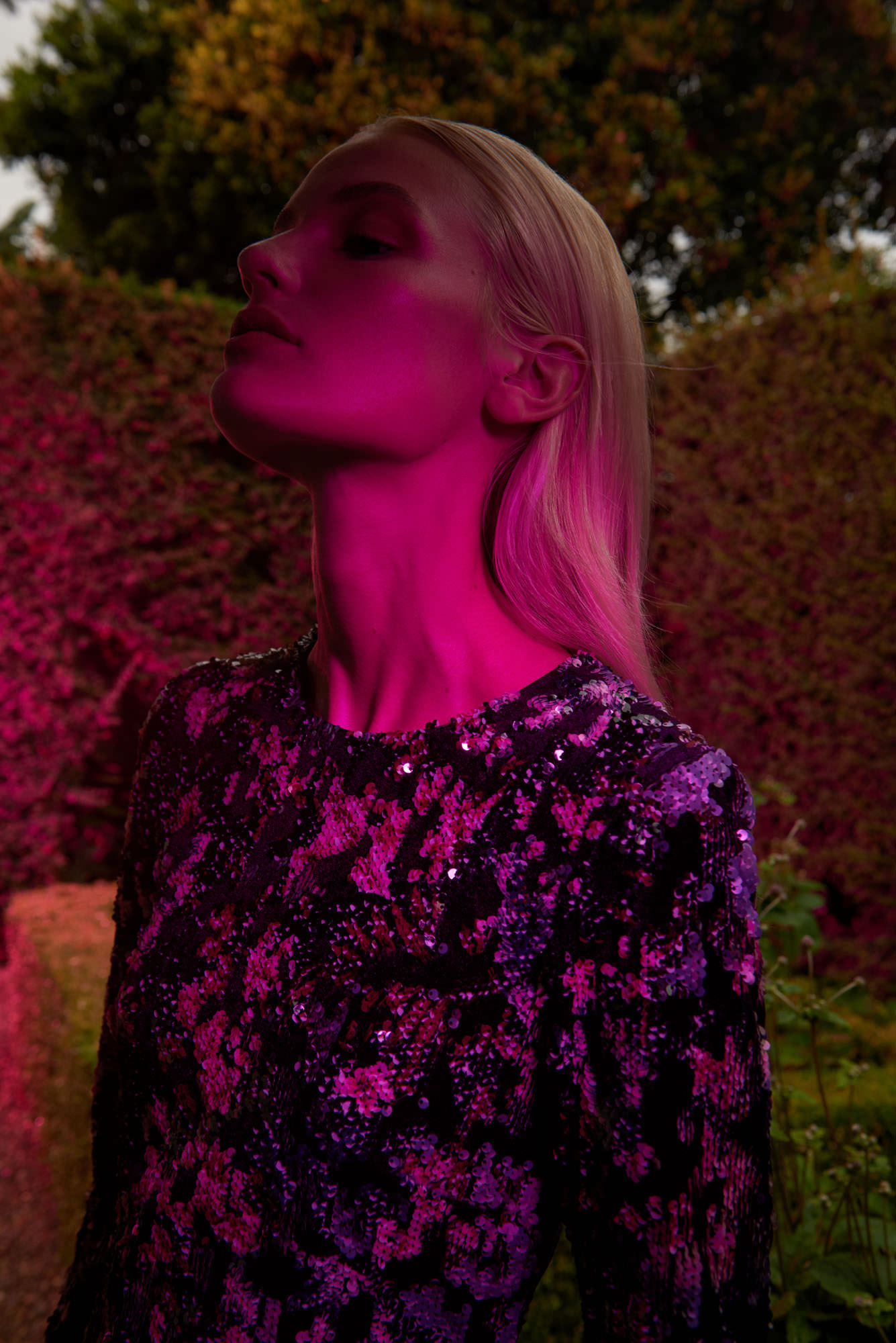 Sebastian Kriete Photo Video