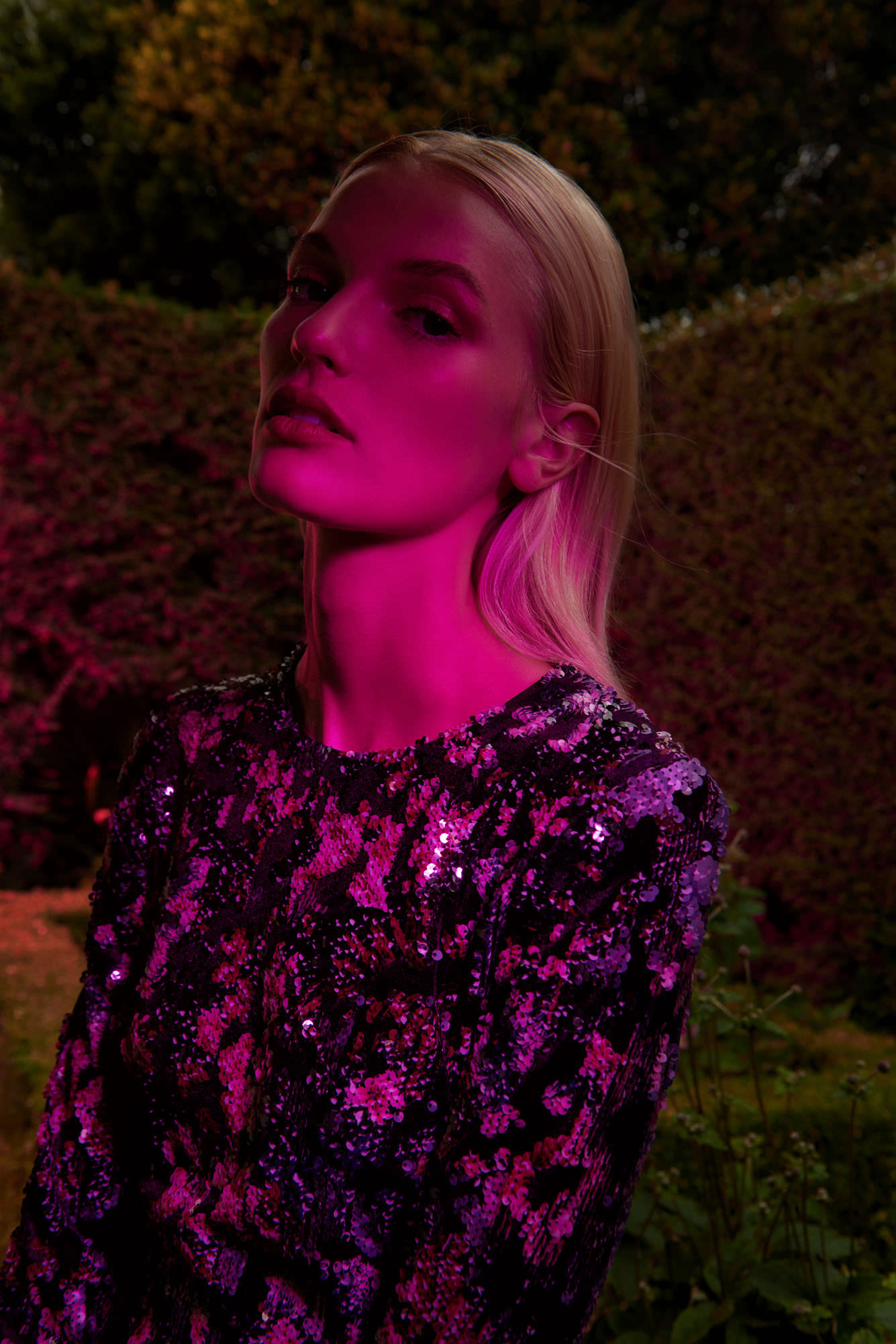 Sebastian Kriete Photo Video