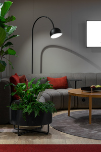 Projects 'Home' — Jason Strong Photography