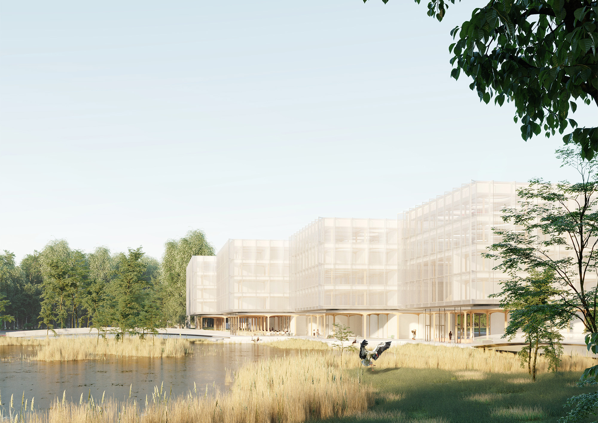 neue architecture studio