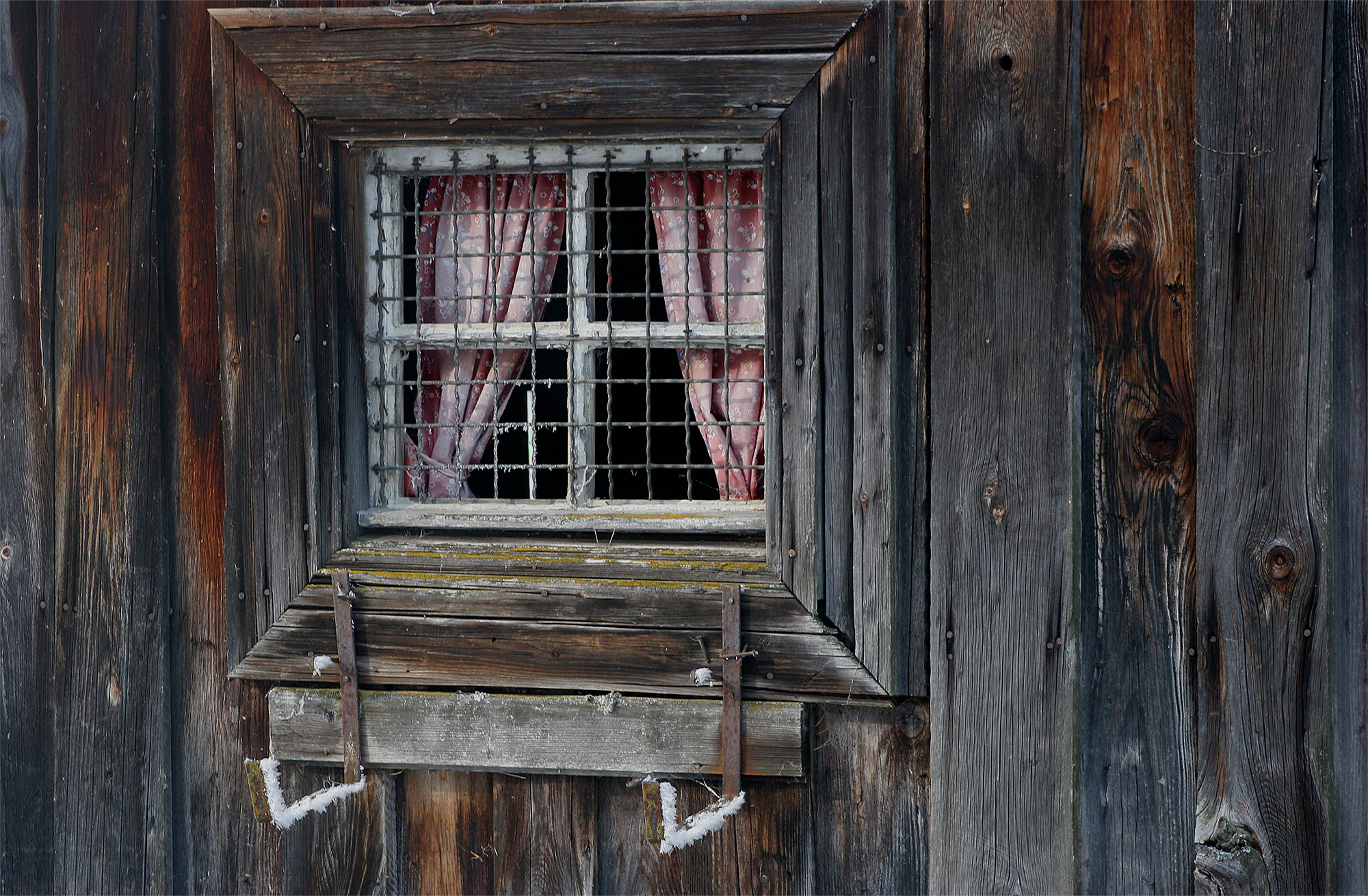 Birgit Freybe Bateman Photography