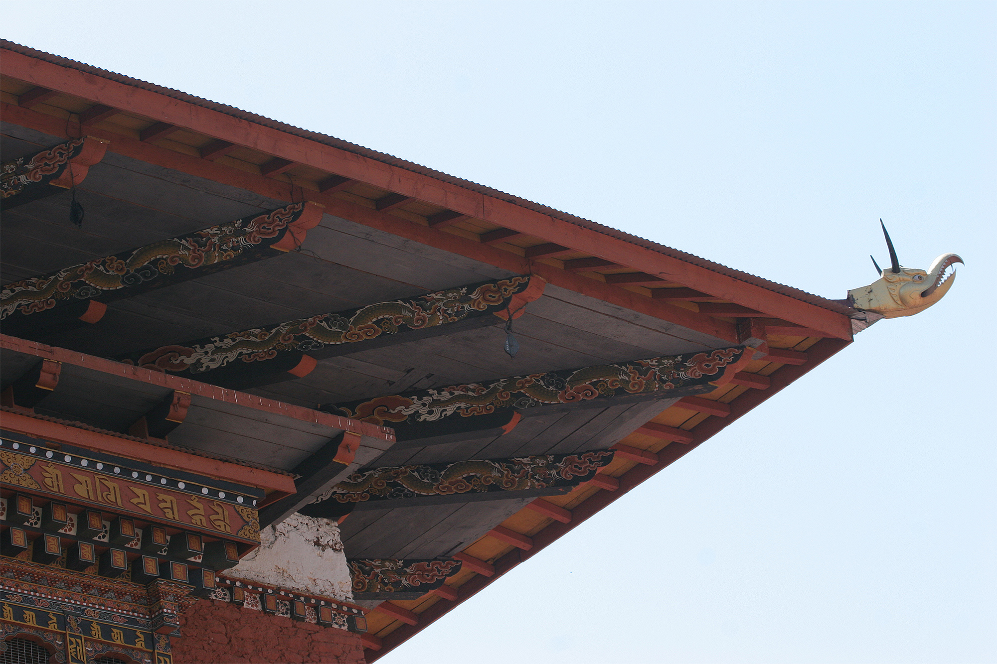 Birgit Freybe Bateman Photography