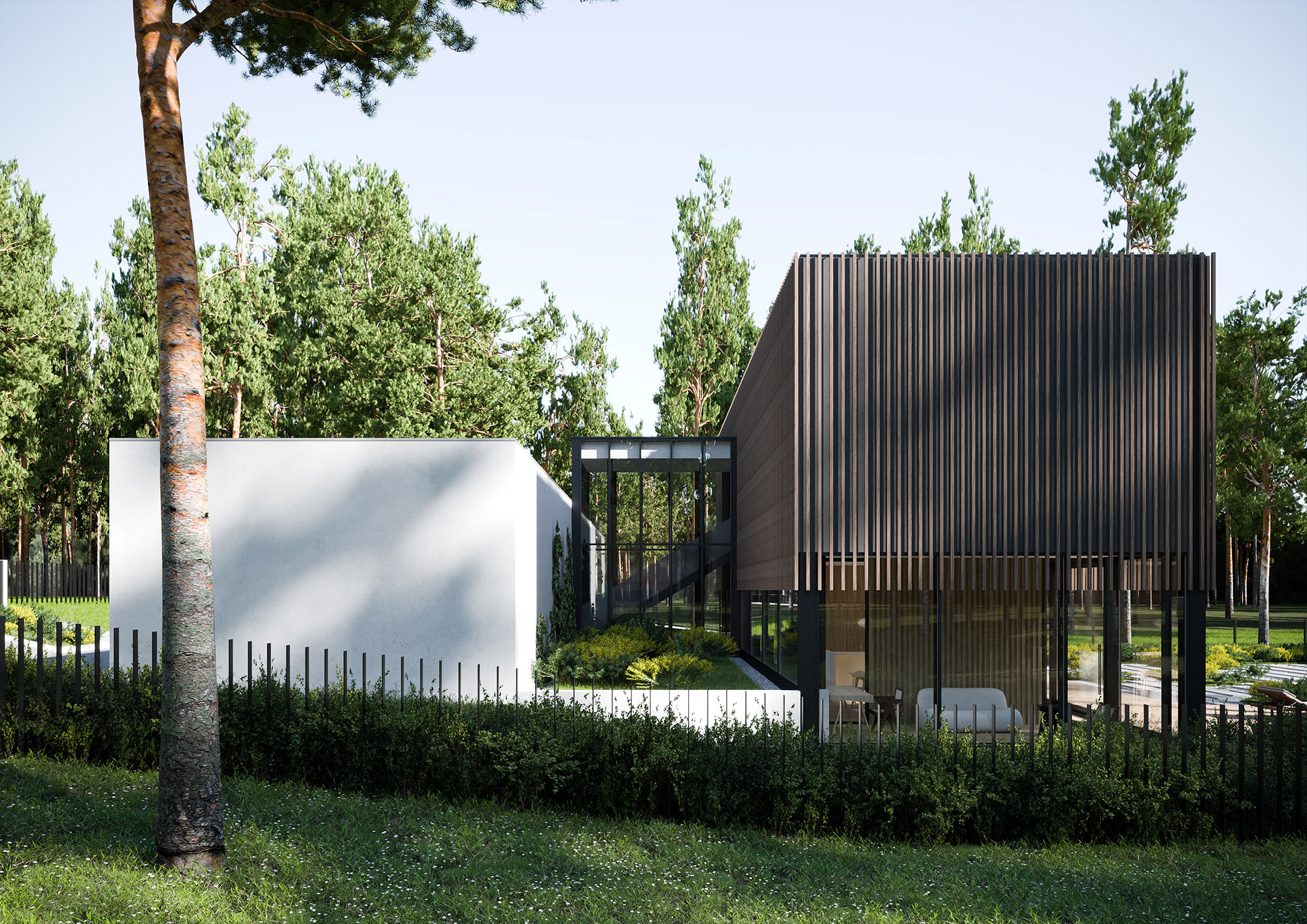 neue architecture studio