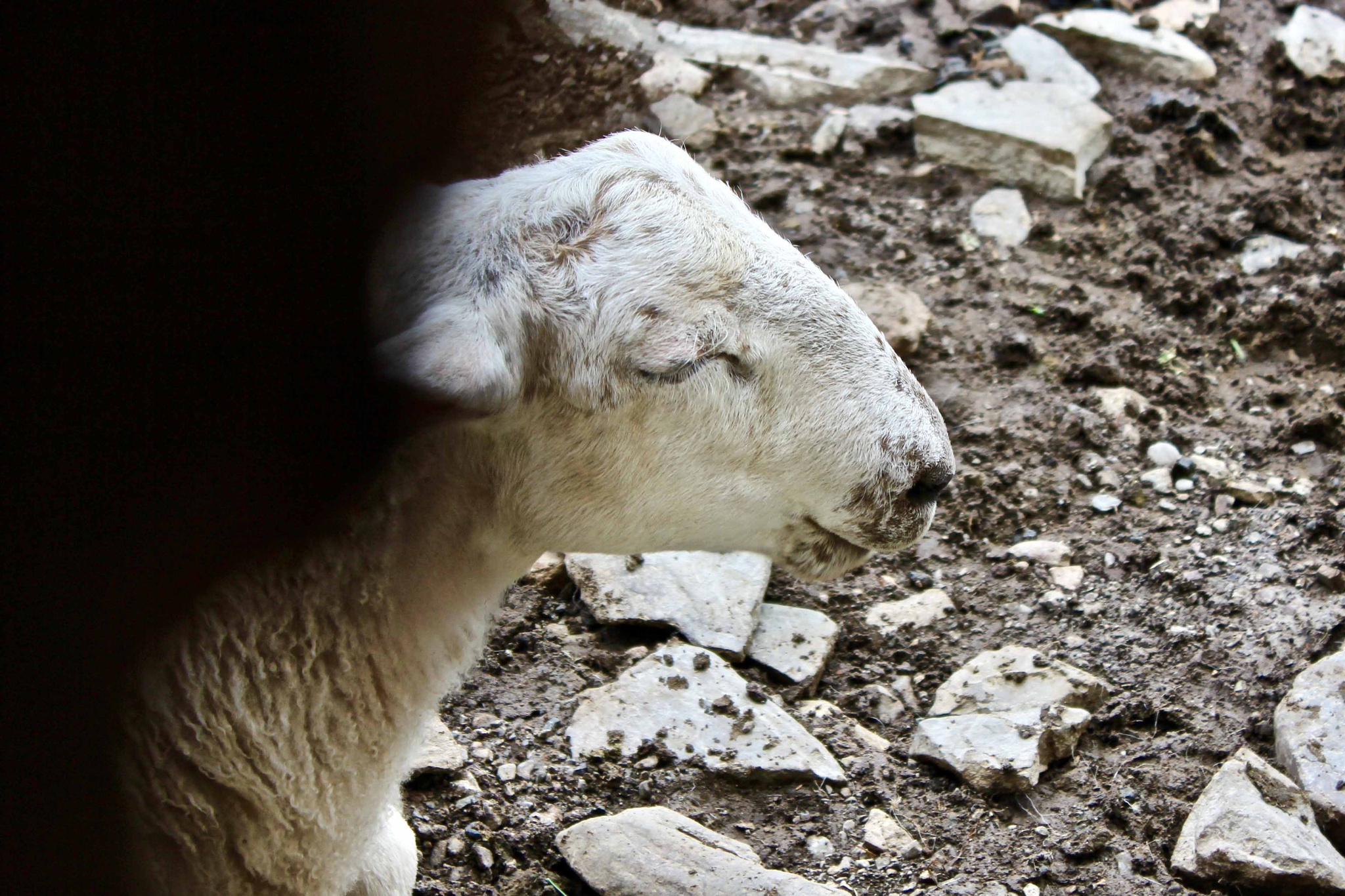 Orein Arts | Artist Residency at a Monastery in Upstate New York