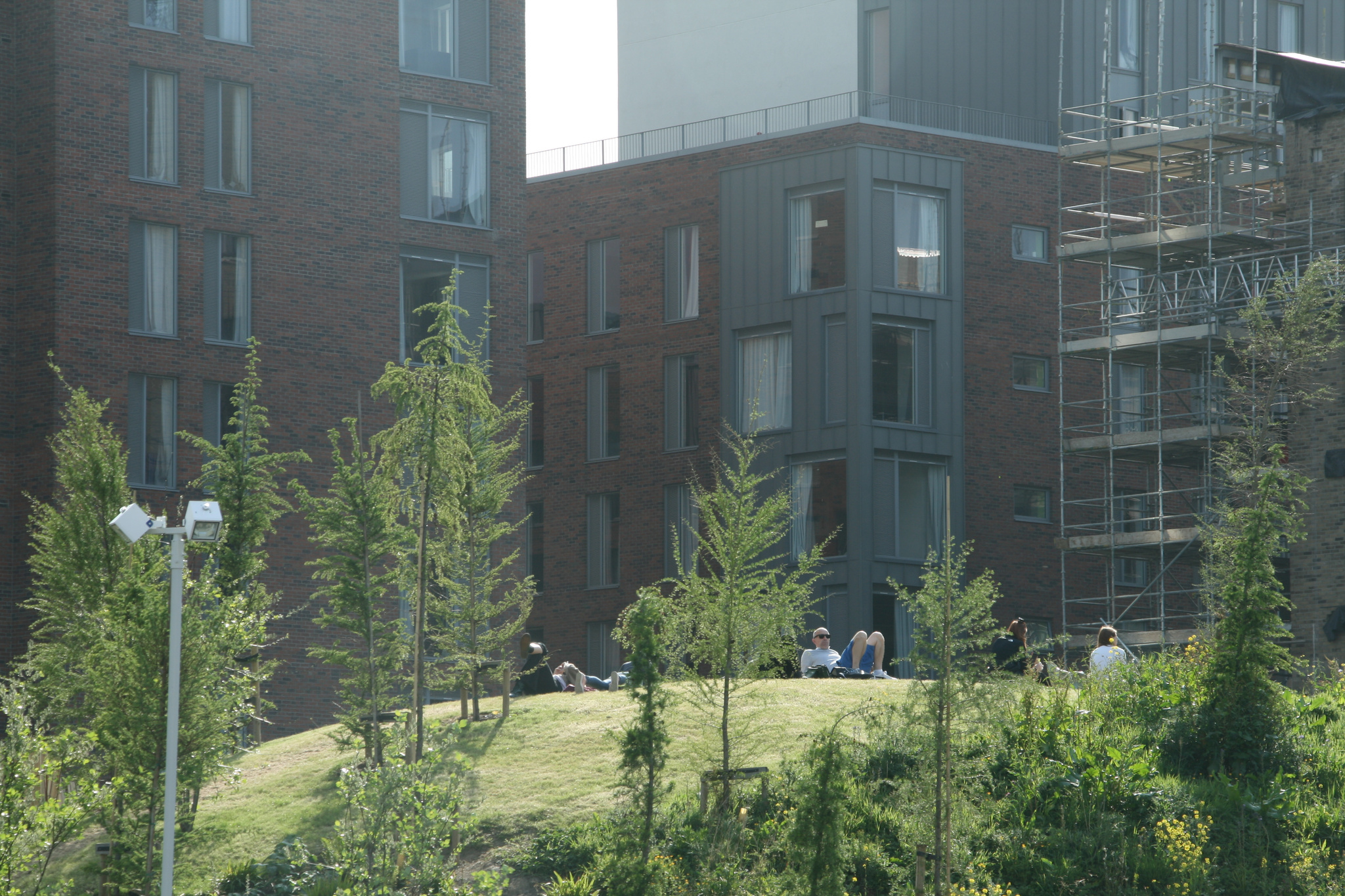 Projects_Bridgefoot — DFLA