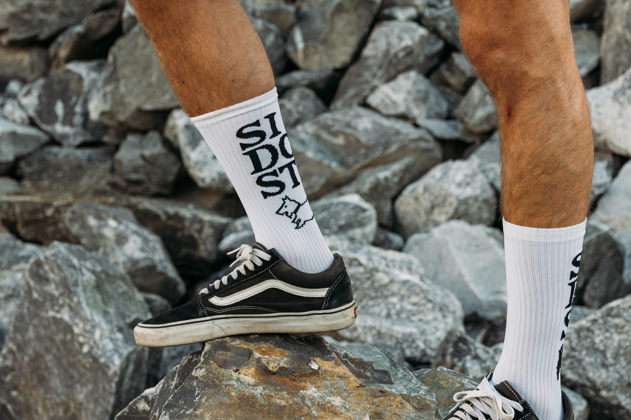 H23 Brand Design Agency