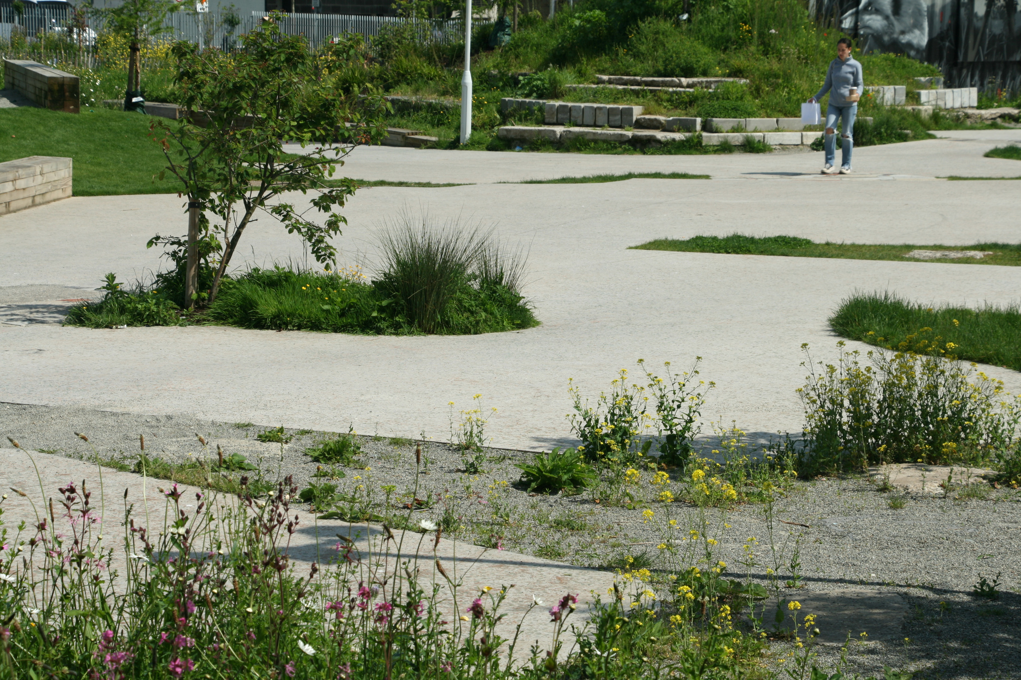 Projects_Bridgefoot — DFLA