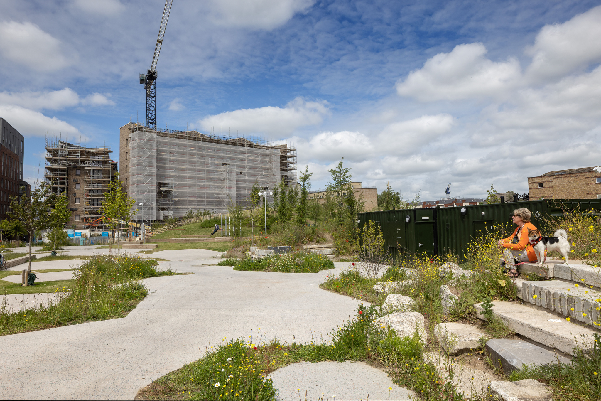 Projects_Bridgefoot — DFLA