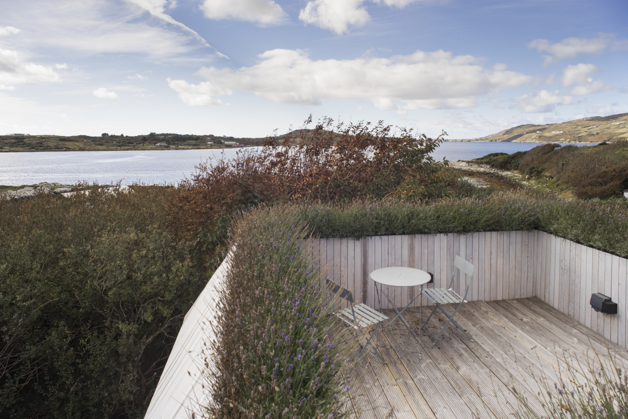 Study Extension — tierneyhaines2