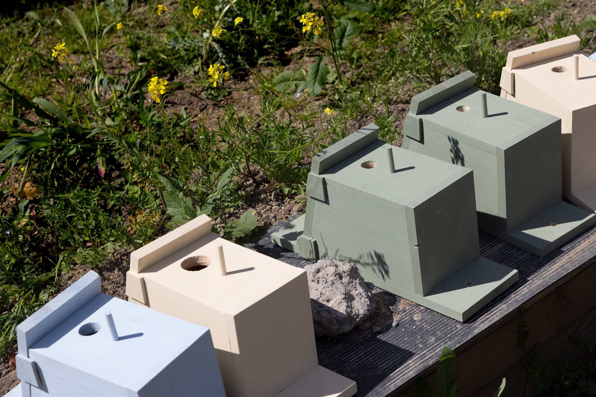 Projects_Bridgefoot — DFLA