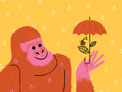 Lydia Nichols Illustration