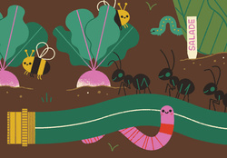 Lydia Nichols Illustration