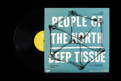 Dan Schechter — Graphic and interactive design