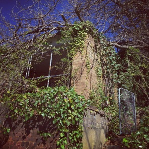 Utopian Edge — Heidi Axelsen and Hugo Moline