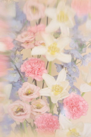 Personal — Paula Codoner