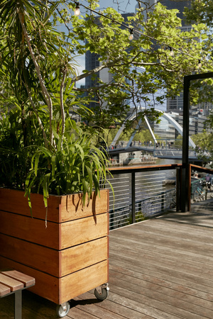 Projects — Pop Plant