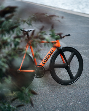 Colossi Lowpro — CYYYCLES