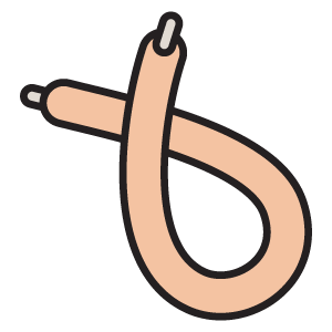 Lindsay Horner - Motion Graphics Designer