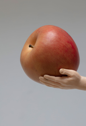 Matthew Donaldson — matthewdonaldson