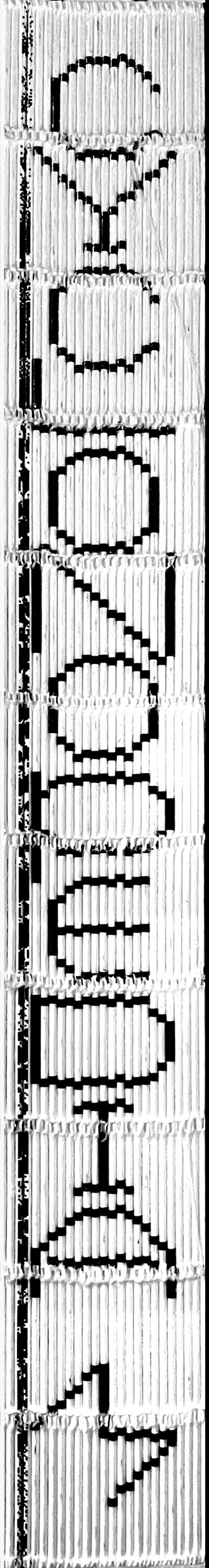 사이클로노피디아 - 작자미상의 자료들을 엮음 — mediabus