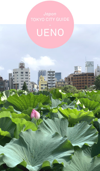Tokyo I city guide par quartiers I Ueno — supertouriste.com