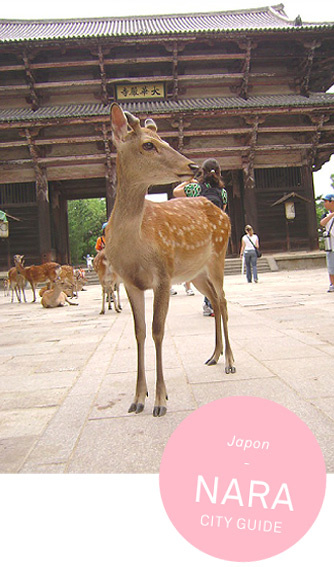 Nara I city guide — supertouriste.com
