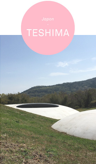 Guide Teshima — supertouriste.com