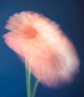 Personal — Paula Codoner