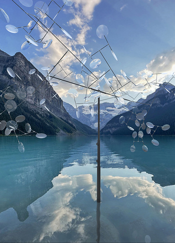 slow lens / kyoto — vincentleroy.com