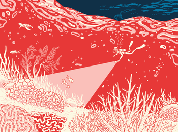 Kyle Knapp Art and Design