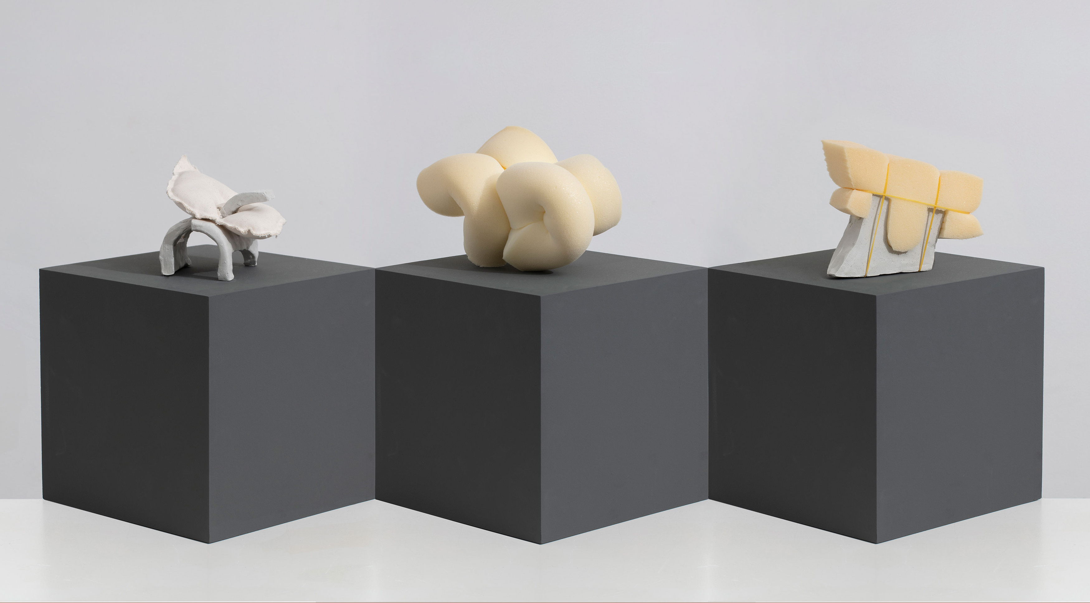 Matthew Donaldson — matthewdonaldson