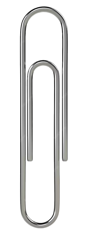 Dossier copy — Damon Dominique