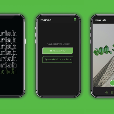 Projects — Heather Snyder Quinn