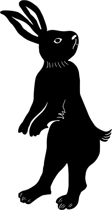 the story of rabbit — Feiya Zhang