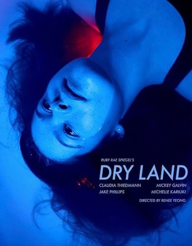 DRYLAND — Mickey Galvin