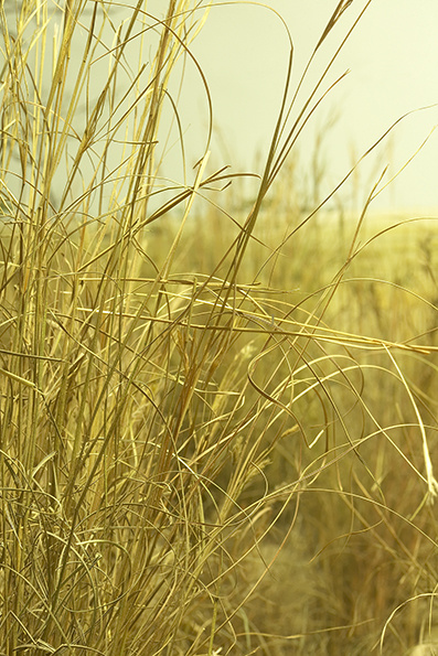 personal - Daar is 'n slang in die gras — Inge Prins Photographer