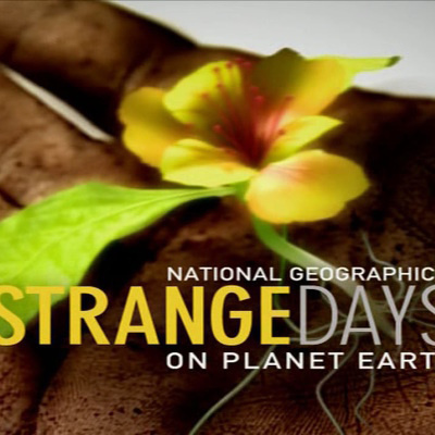 Strange Days on Planet Earth — Eric Alba